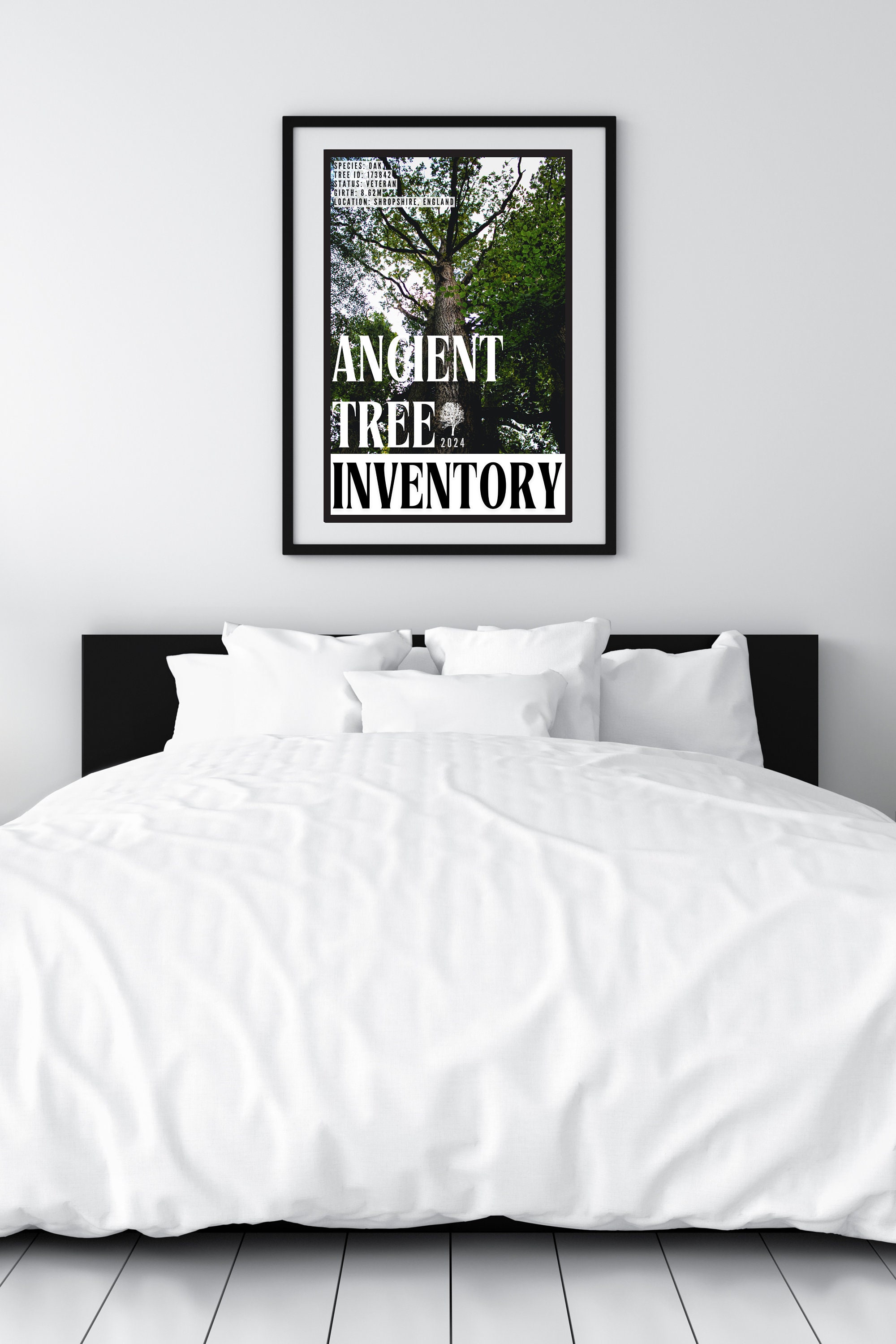 Printable Photography, Ancient Tree Inventory, Oak Tree, Forest Lovers ...
