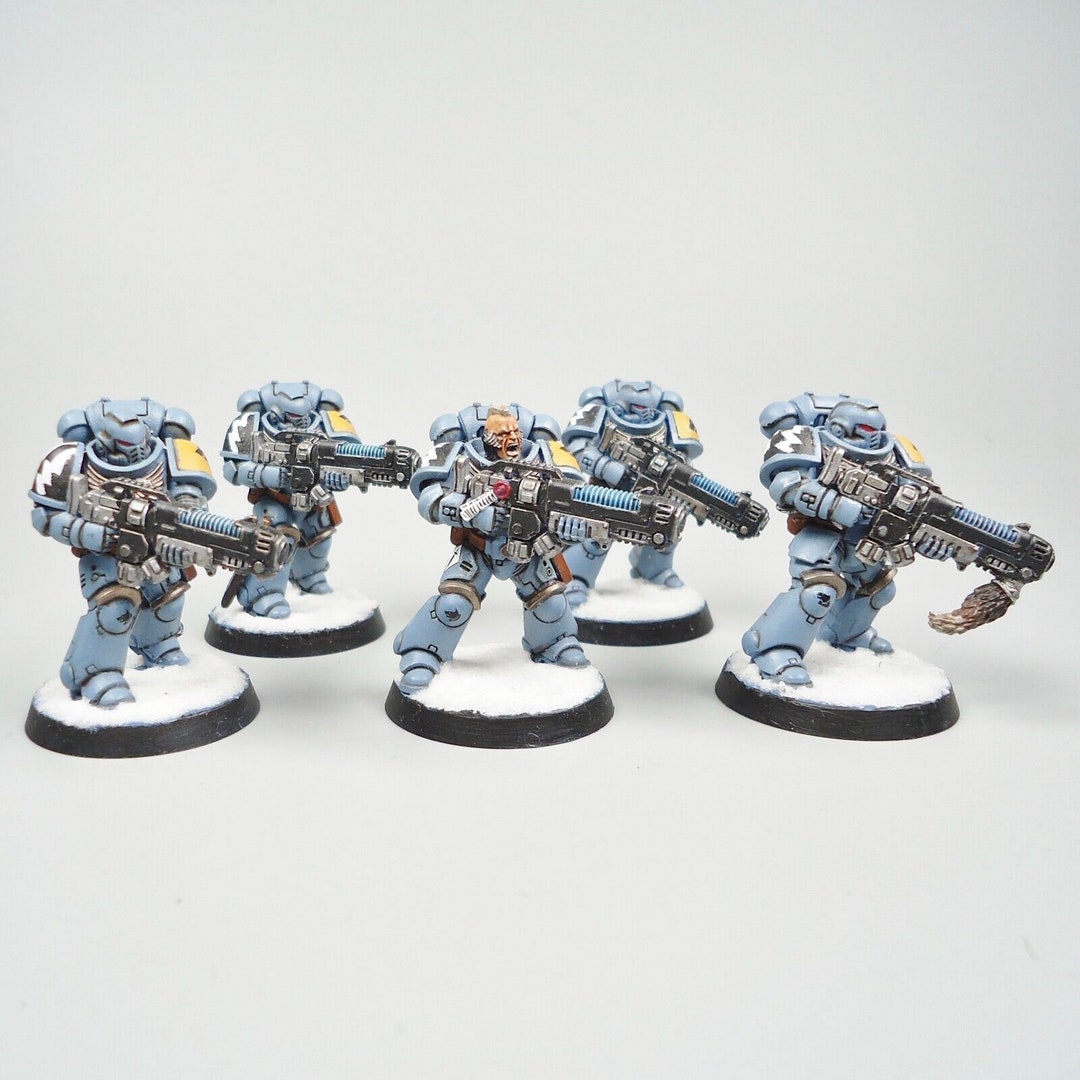 Warhammer 40k Army Space Marines Space Wolves Hellblasters X5 Painted ...