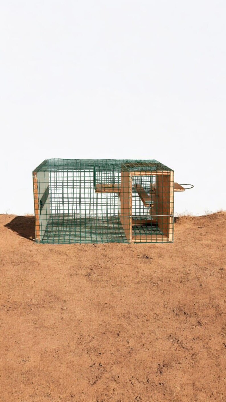 Sparrow Bird Trap Repeating Automatic Elevator Type New Model Trap New ...