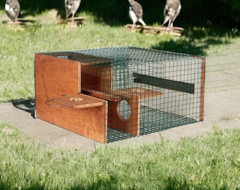 New Model Zipper Door New Design Sparrow Trap, Live Bird Trap Nonstop ...