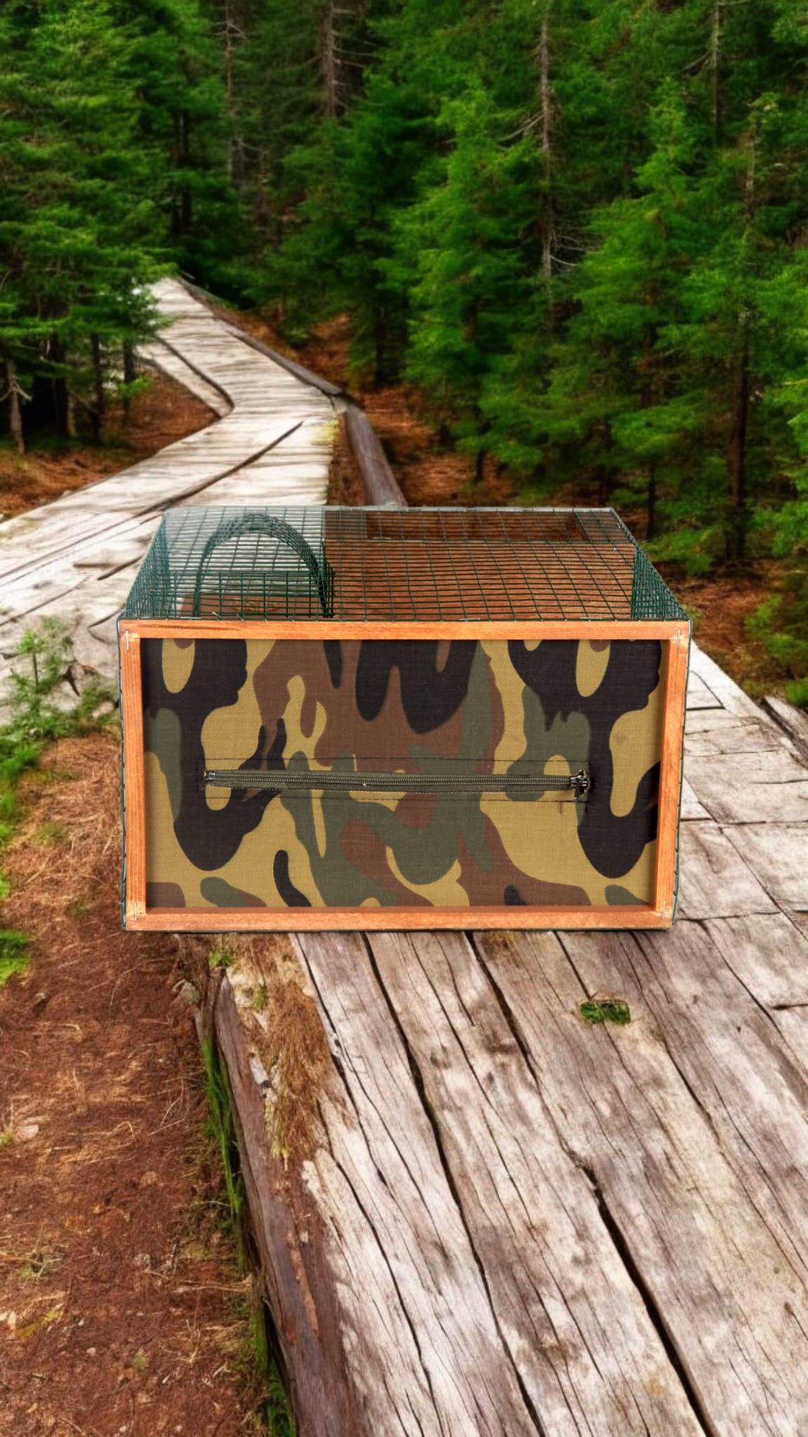 New Model Zipper Nonstop Sparrow Bird Trap Repeating Automatic Sparrow ...