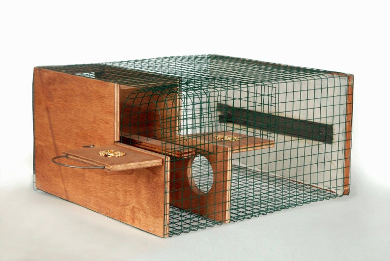 New Model Zipper Nonstop Sparrow Bird Trap Repeating Automatic Sparrow ...