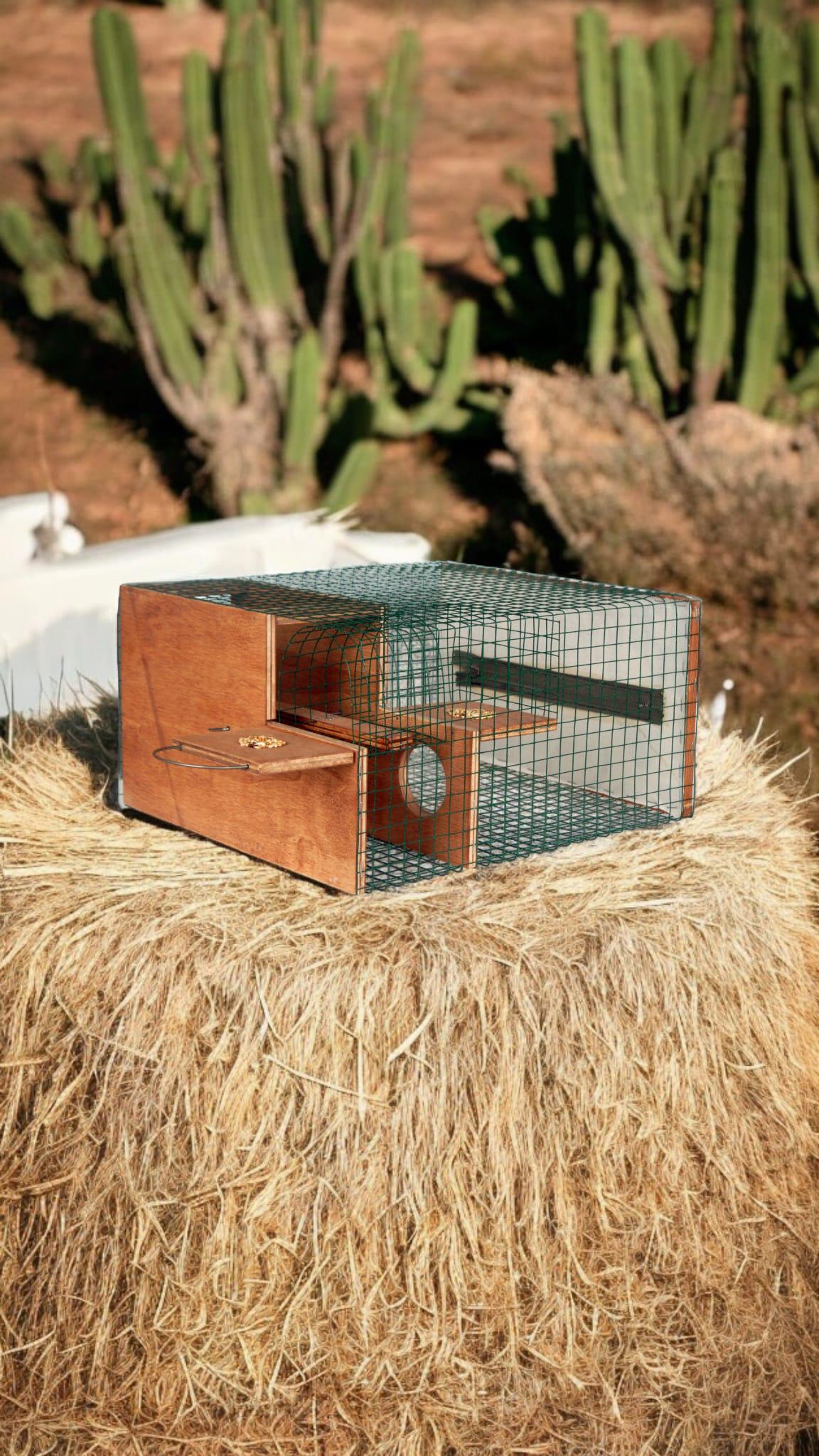 Sparrow Bird Trap Repeating Automatic Elevator Type New Model Trap New ...