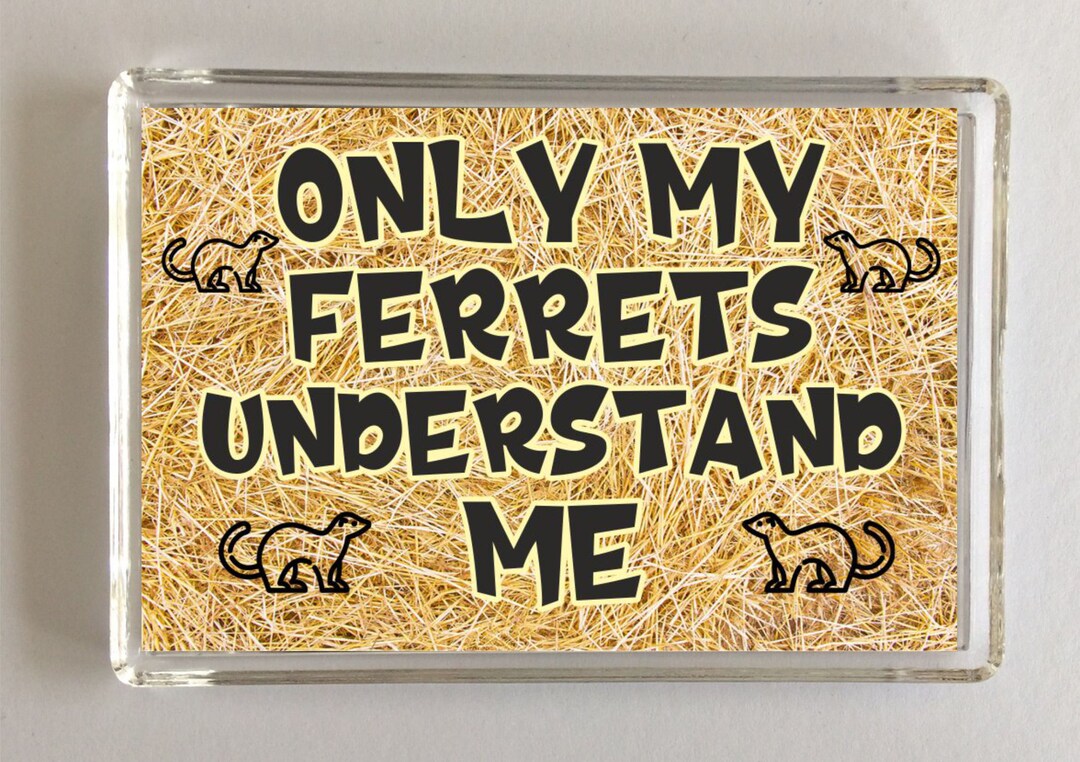 Ferret Fun Gift - Only My Ferrets Understand Me - Novelty Fridge Magnet ...