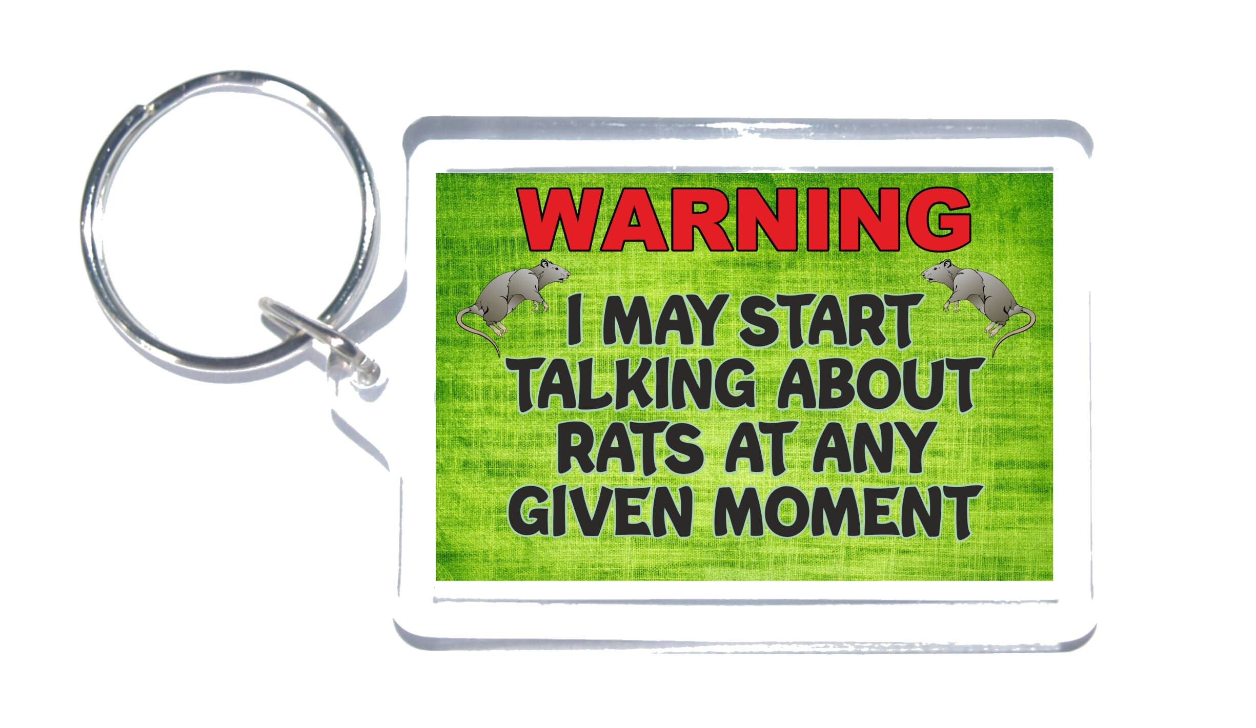 Fun Rat Lover Present Warning I May Start Talking About Rats | Etsy