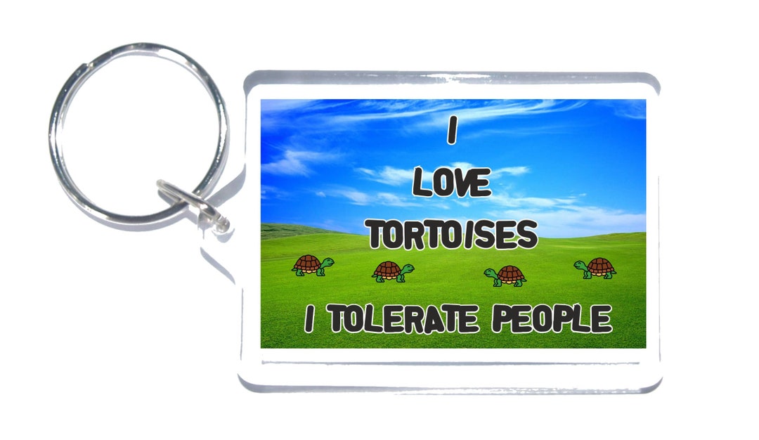 I Love Tortoises I Tolerate People, Novelty Keyring, Ideal Gift Present ...