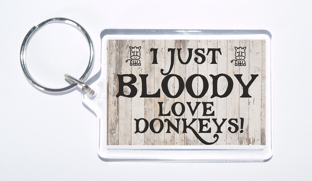 I Just Bloody Love Donkeys, Novelty Keyring, Ideal Gift for Christmas ...