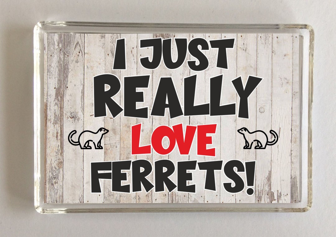 I Just Really Love Ferrets, Novelty Fridge Magnet, Ideal Present/gift ...