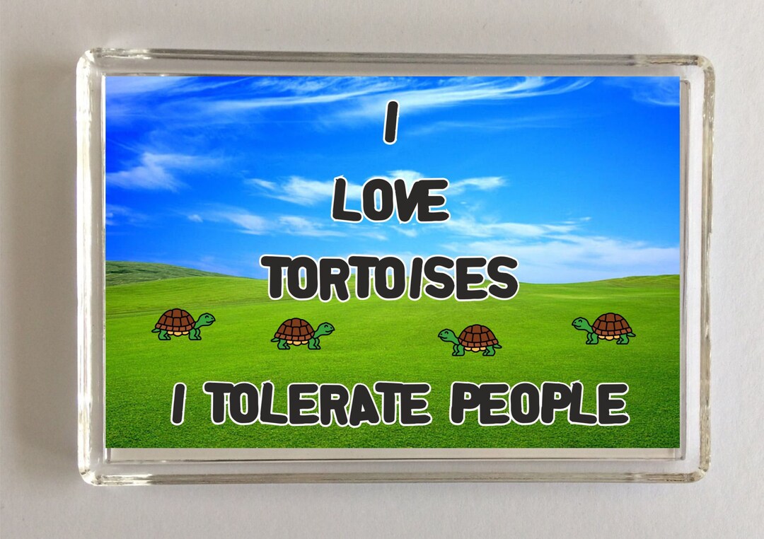 I Love Tortoises I Tolerate People, Novelty Fridge Magnet, Ideal ...