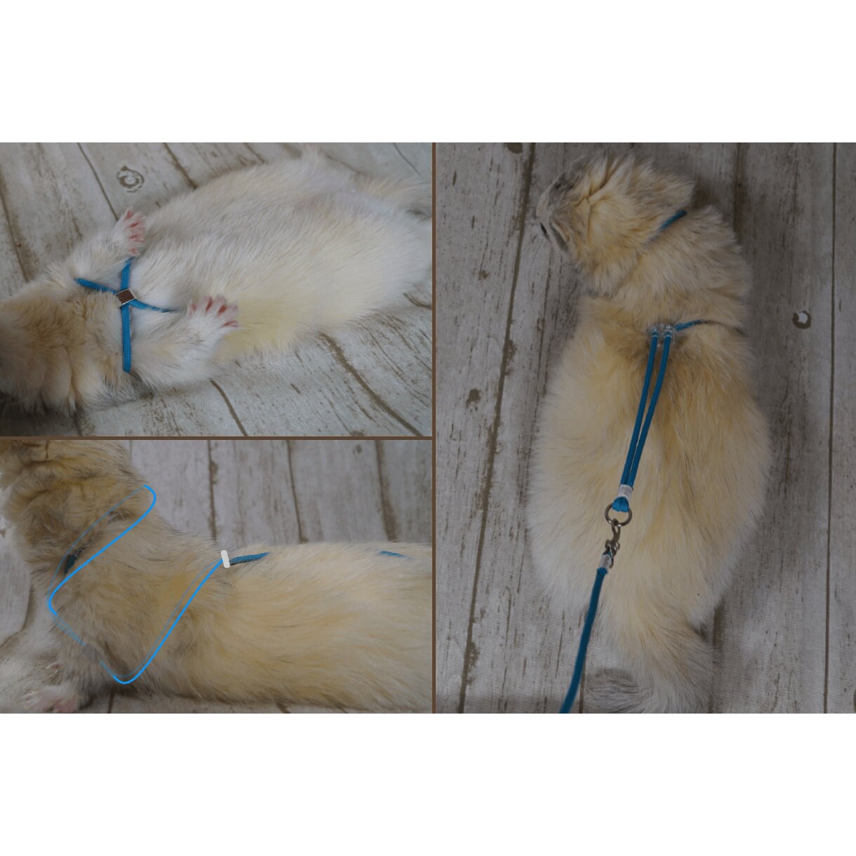 X - Ferret Harness | Form 8 Ferret Harness 