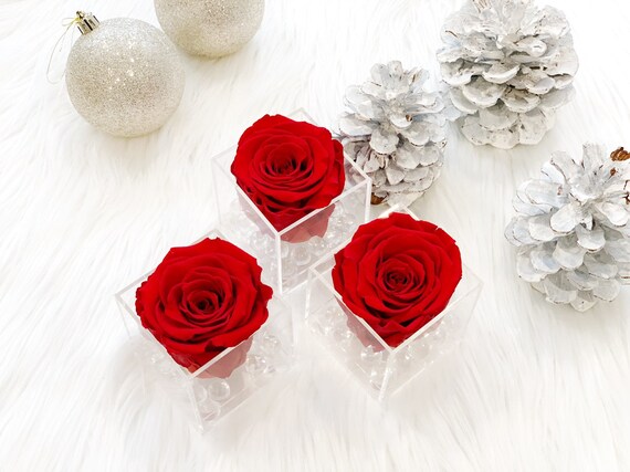 Everlasting Rose Red Single Rose - Etsy