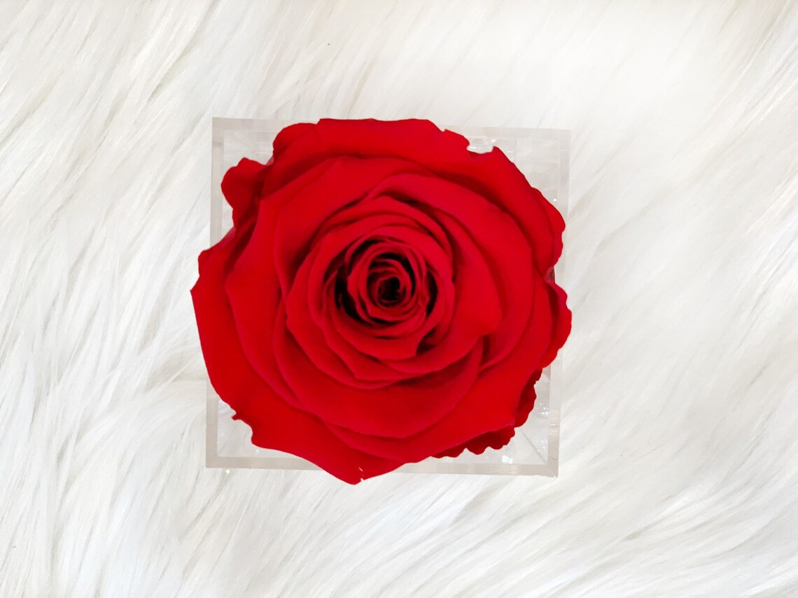 Everlasting Rose - Red - Single Rose - Etsy