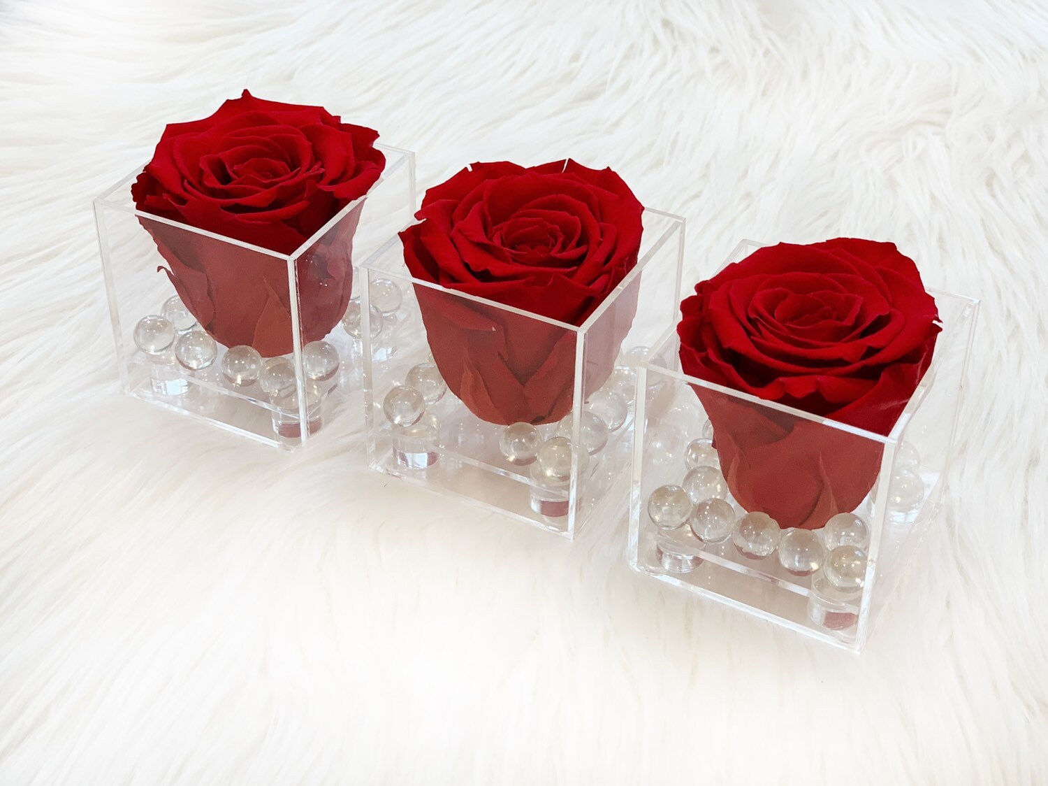 Everlasting Rose - Red - Single Rose - Etsy