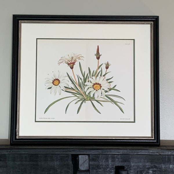 Original Botanical - Etsy