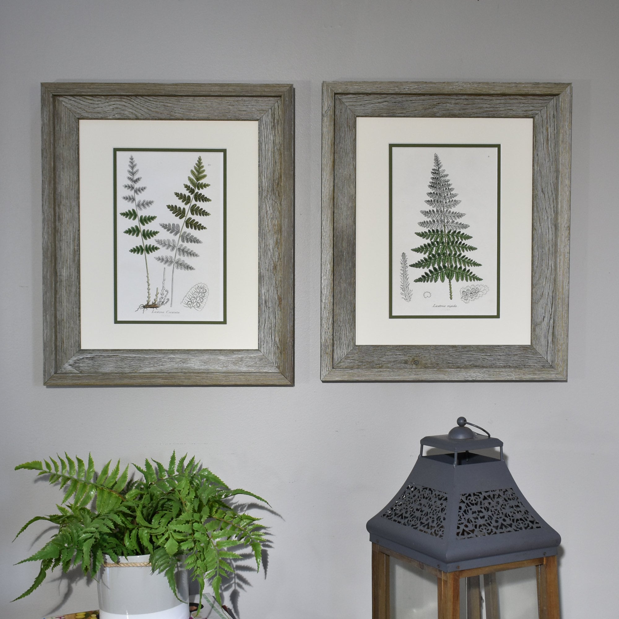 Vintage Style Botanical Prints Framed Fern Prints Set of 2 - Etsy