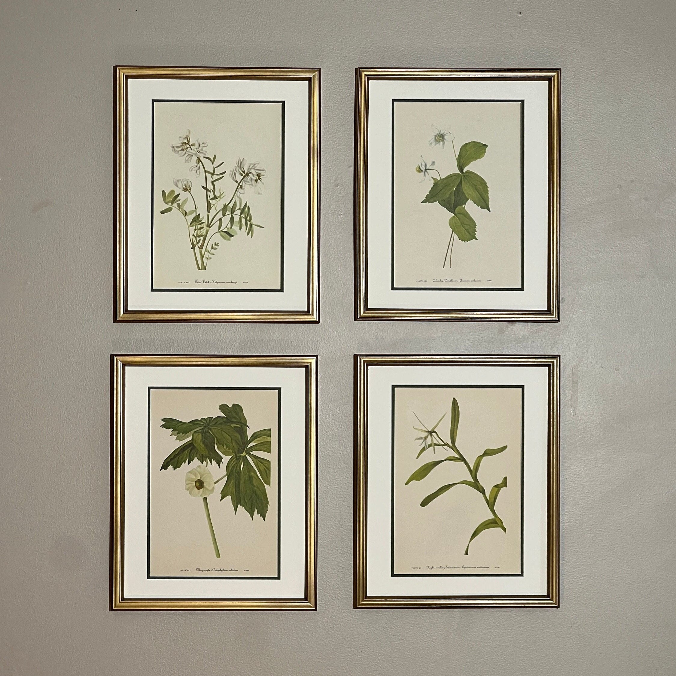 Gold Framed Botanical Prints, Set of 4, Vintage Original Wild Flower ...