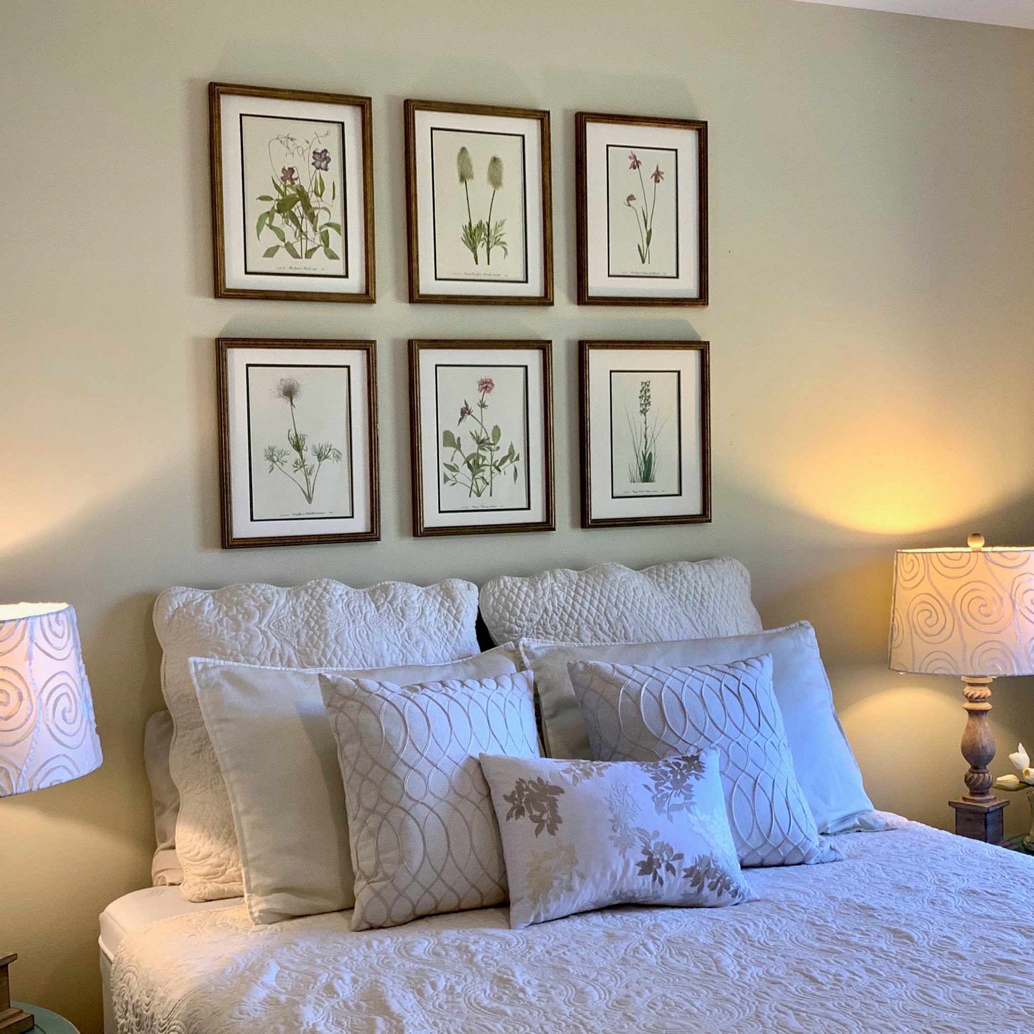 Vintage Botanical Prints Set of 6 Gold Framed Wild Flower - Etsy