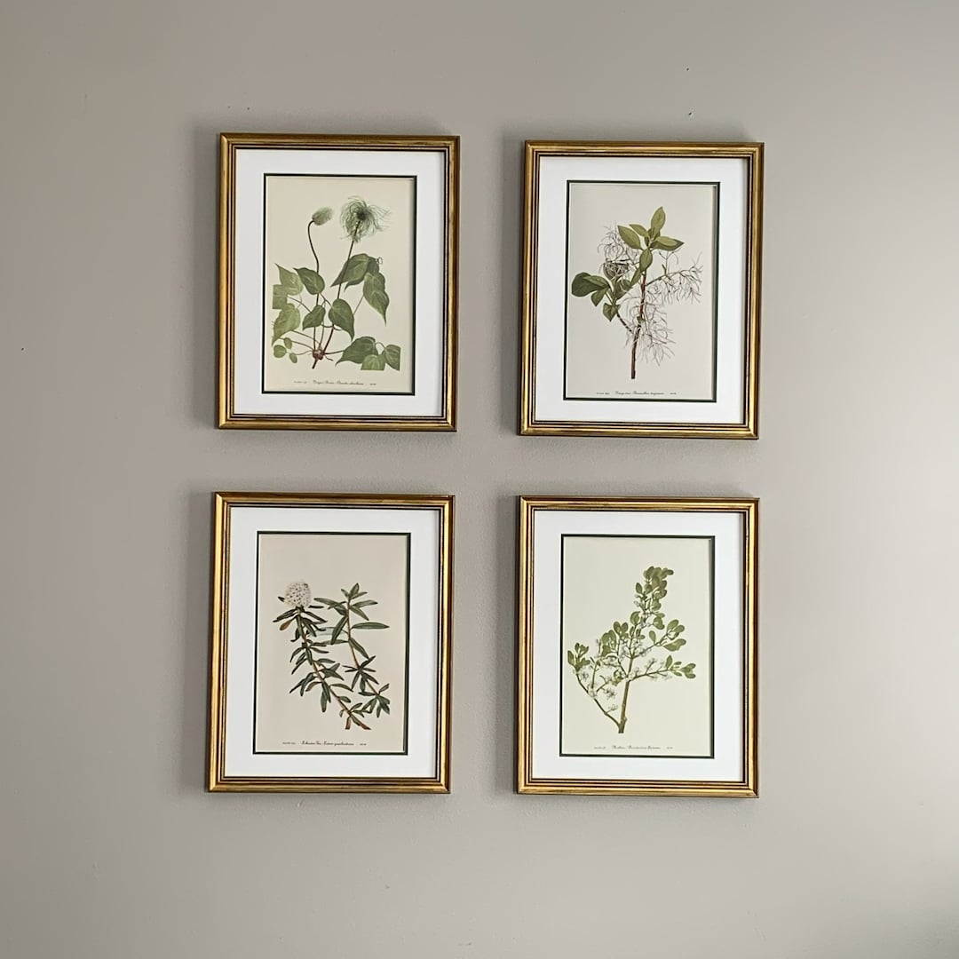 Gold Framed Botanical Prints, Set of 4, Vintage Original Wild Flower ...