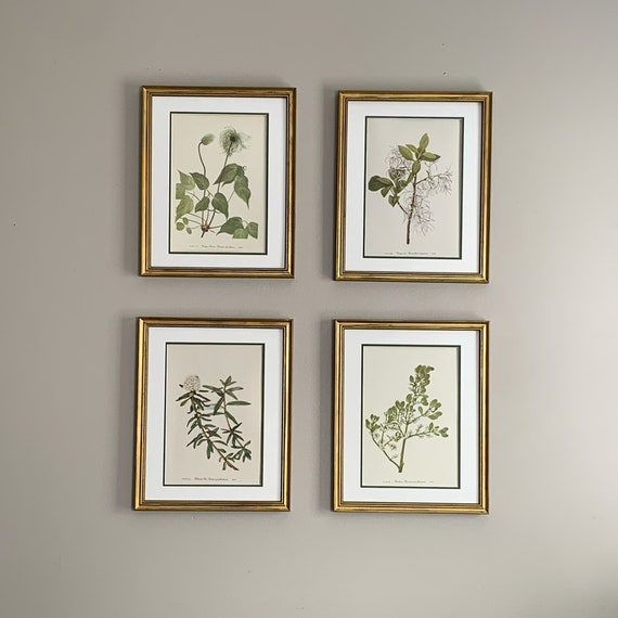 Gold Framed Botanical Prints Set of 4 Vintage Original Wild - Etsy