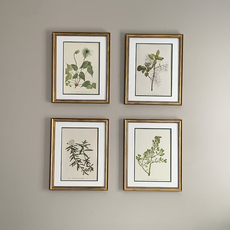 Framed Botanical Prints - Etsy