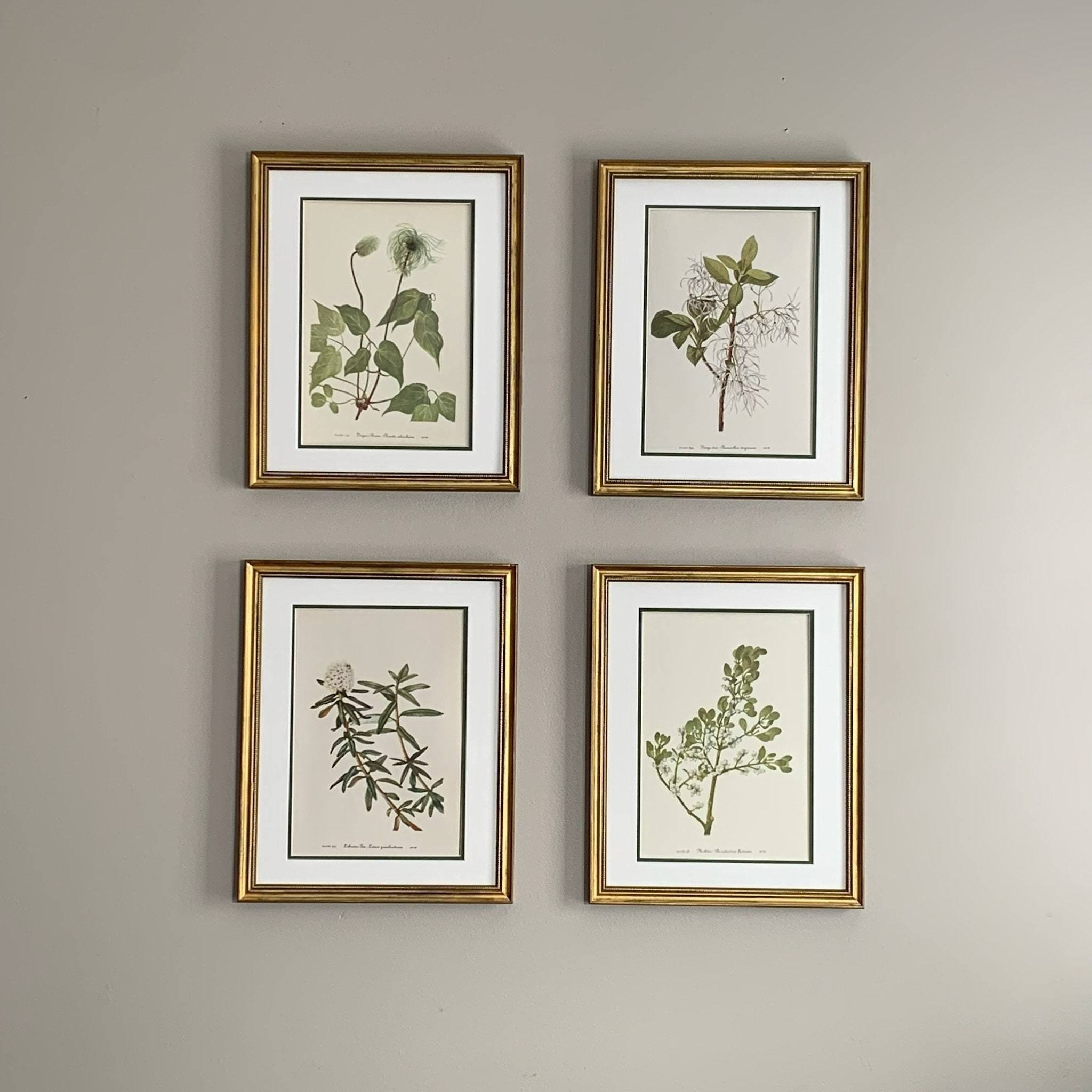 Gold Framed Botanical Prints Set of 4 Vintage Original Wild | Etsy