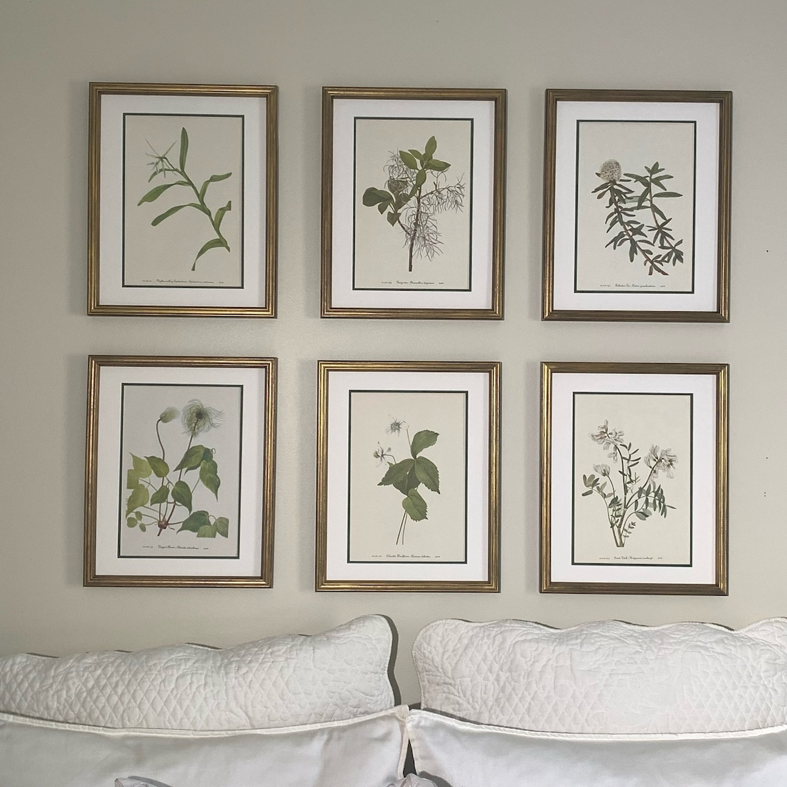 Gold Framed Botanical Prints Set of 4 Vintage Original Wild - Etsy