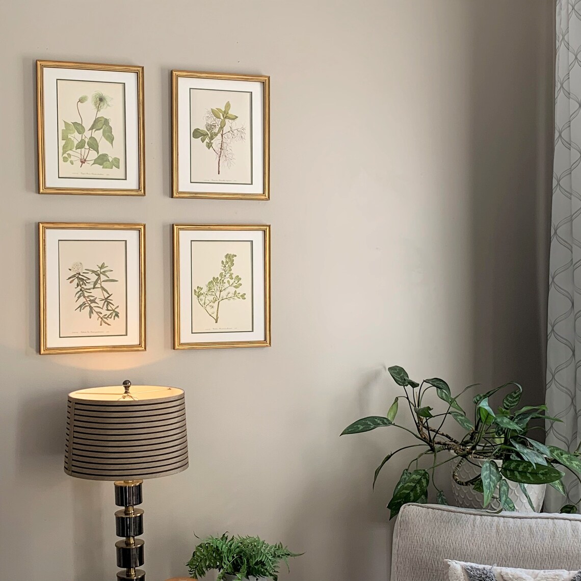 Gold Framed Botanical Prints Set of 4 Vintage Original Wild - Etsy