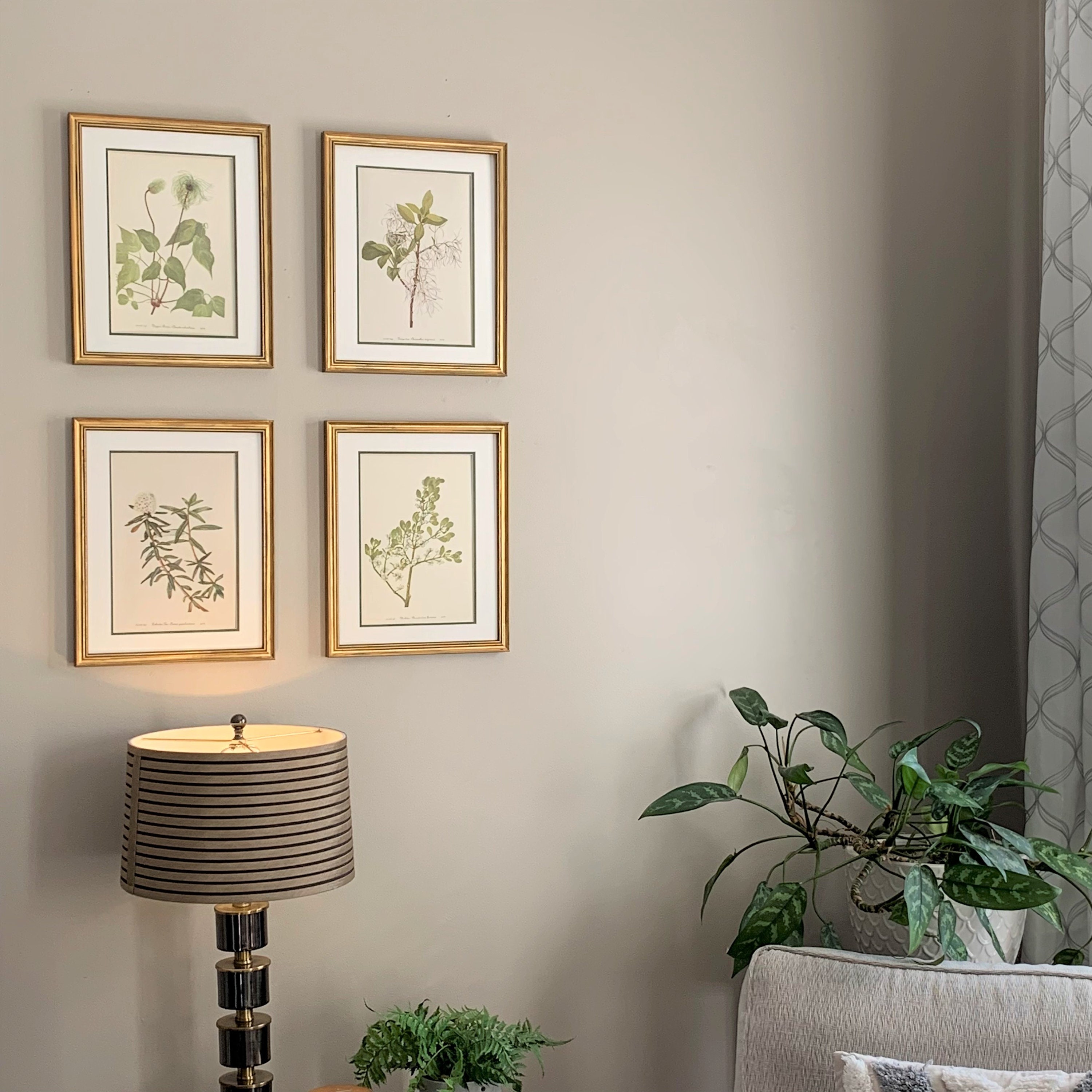 Gold Framed Botanical Prints Set of 4 Vintage Original Wild | Etsy