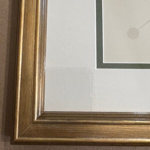 Vintage Botanical Prints, Set of 2,gold Framed Original Wild Flower ...