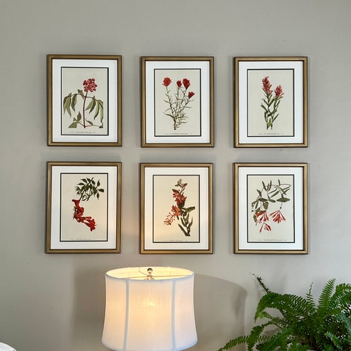 Vintage Botanical Prints Set of 6 Gold Framed Wild Flower - Etsy