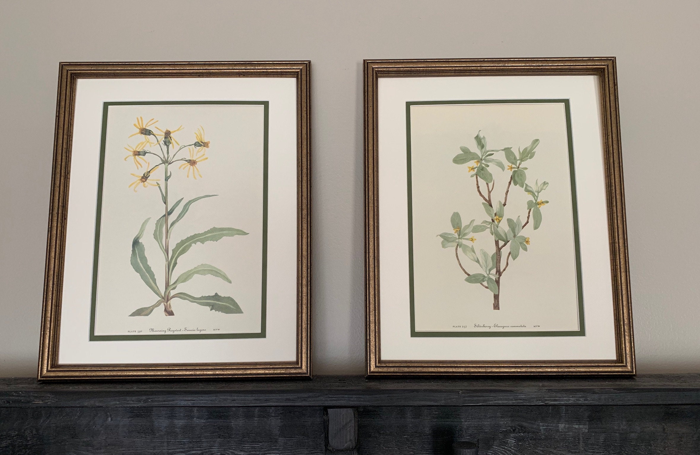 Vintage Botanical Prints Set of 2gold Framed Original Wild - Etsy