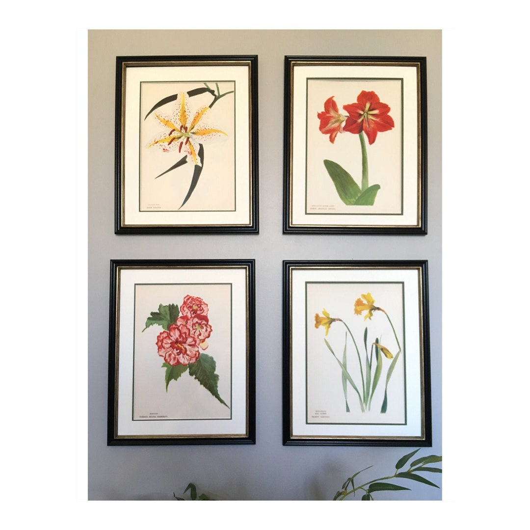 Framed Vintage Botanical Prints, Set of 4, Original 1946 Paris ...