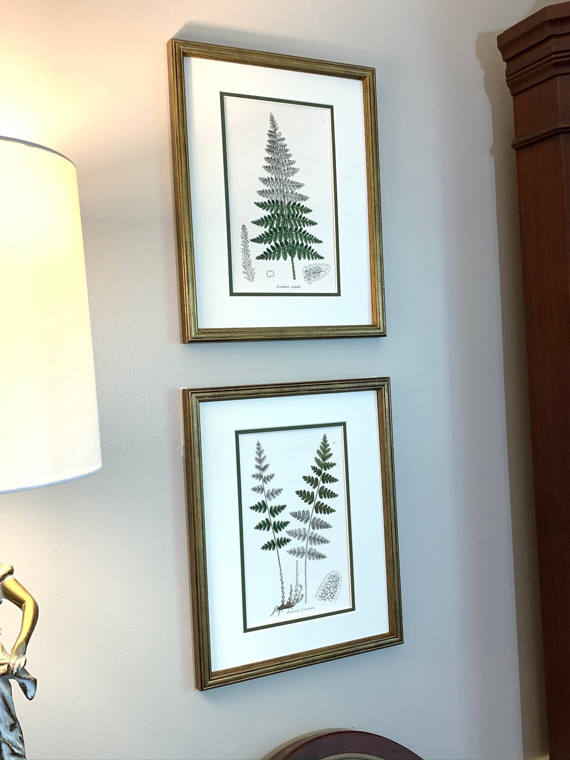 Vintage Botanical Prints Framed Set of 2 Fern Prints Framed - Etsy