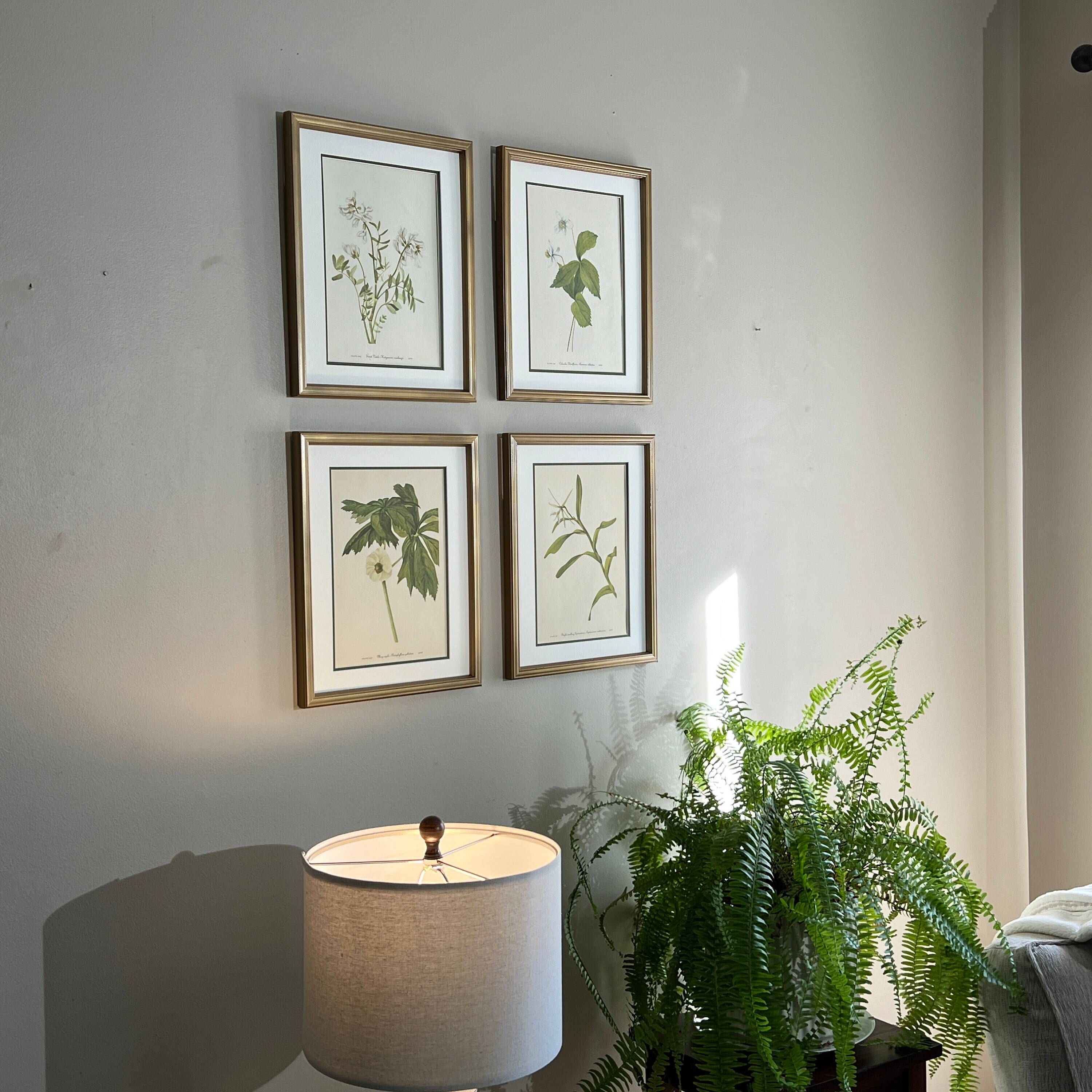 Gold Framed Botanical Prints, Set of 4, Vintage Original Wild Flower ...