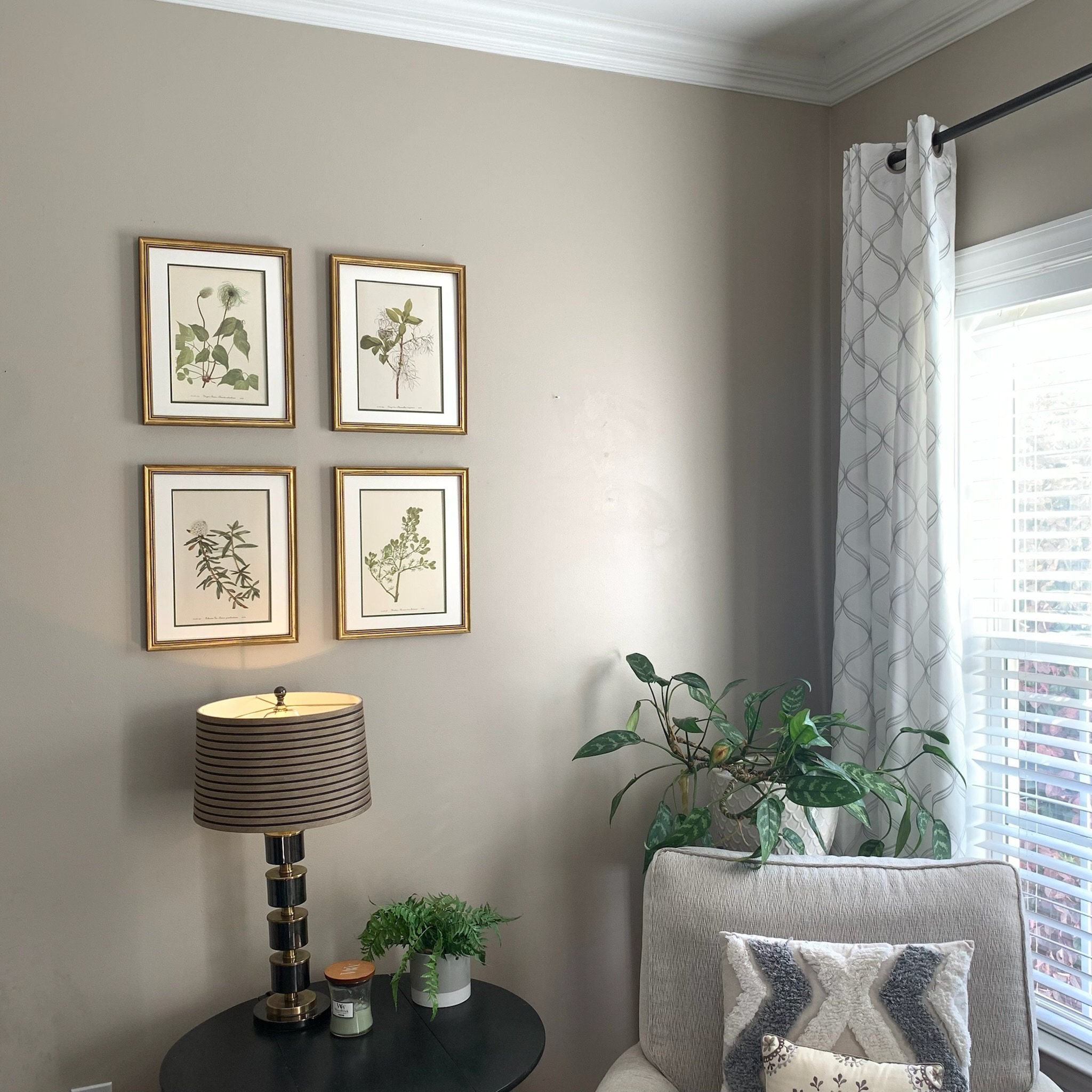 Gold Framed Botanical Prints Set of 4 Vintage Original Wild | Etsy