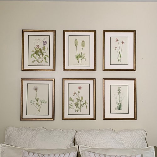 Gold Framed Botanical Prints Set of 4 Vintage Original Wild - Etsy