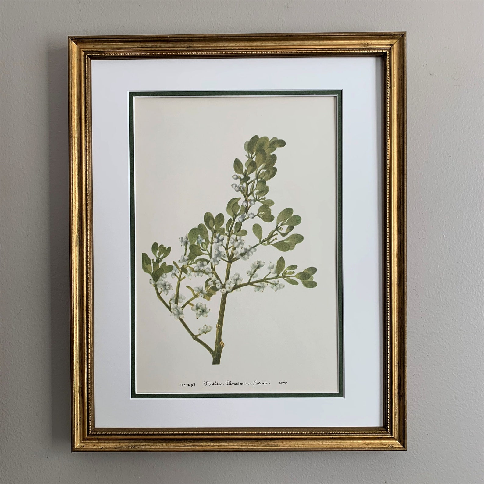 Gold Framed Botanical Prints Set of 4 Vintage Original Wild - Etsy