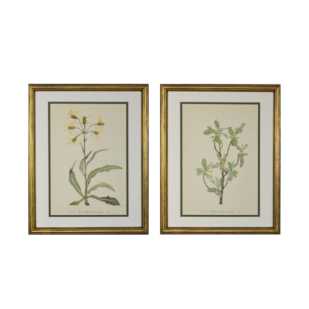 Vintage Botanical Prints, Set of 2 Framed Botanical Set, Flower Wall ...