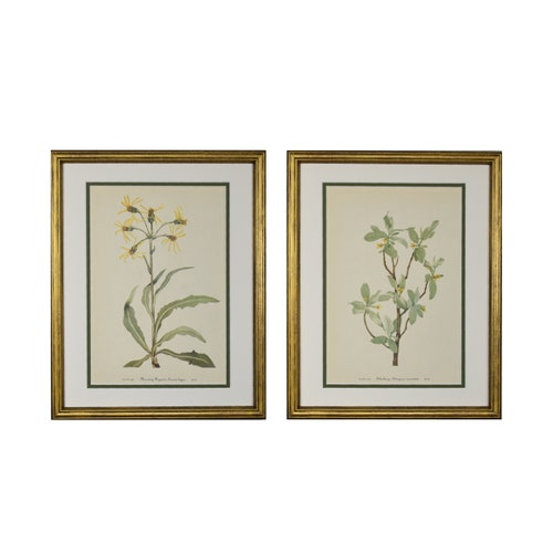 Gold Framed Botanical Prints Set of 4 Vintage Original Wild - Etsy