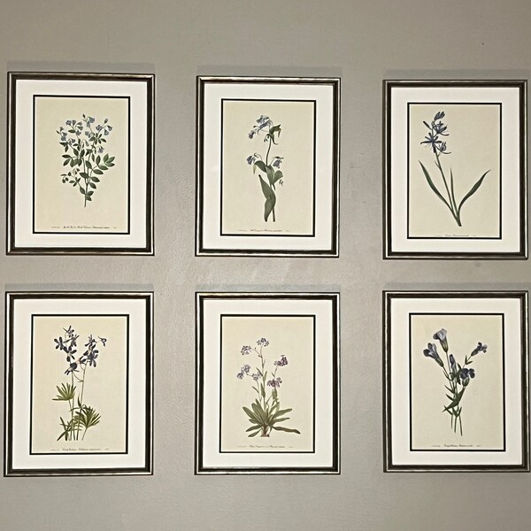 Framed Botanical Prints - Etsy