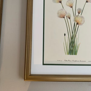 Framed Vintage Botanical Print Set of 6, Original Flower Botanical Set ...