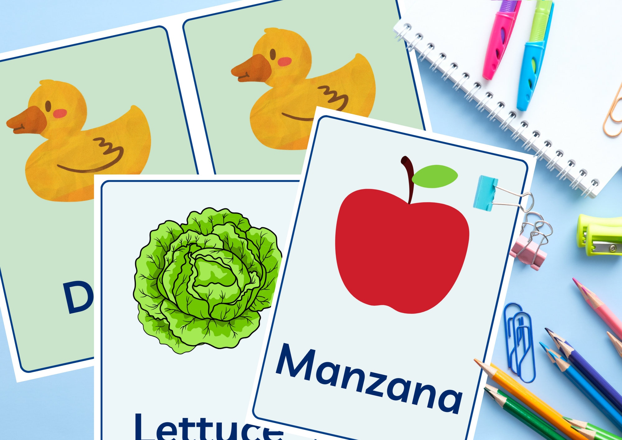 Bilingual English/spanish Alphabet Flash Cards - Colorful Learning for ...