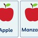 Bilingual English/spanish Alphabet Flash Cards - Colorful Learning for ...