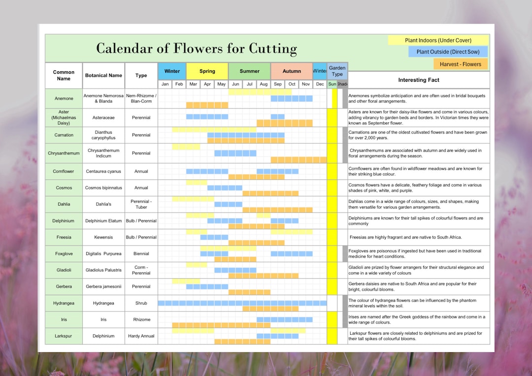 Calendar of British Flowers for Cutting, A4 Size, Gardeners Gift ...