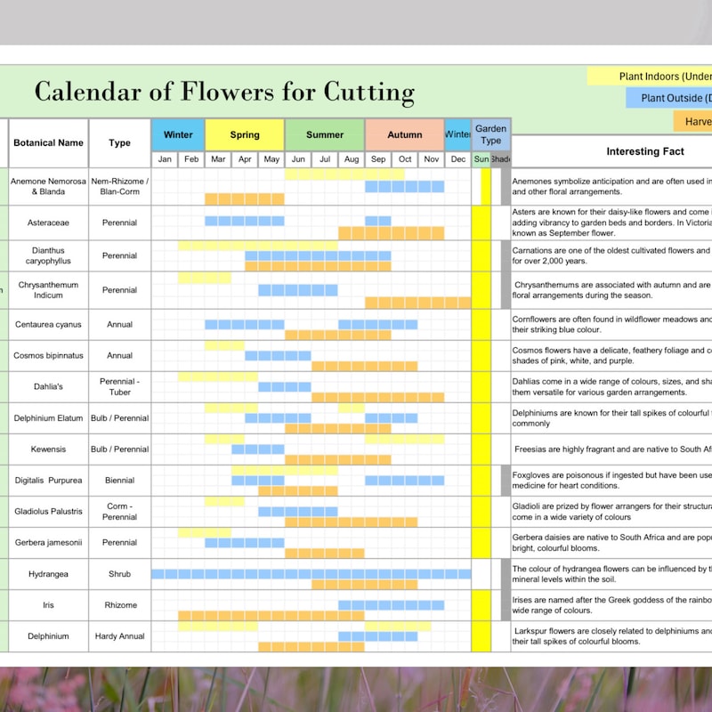 Flower Cut Calendar - Etsy UK
