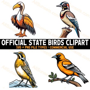 Official State Birds Clipart Bundle SVG and PNG Files Commercial Use ...