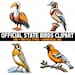 Official State Birds Clipart Bundle SVG and PNG Files Commercial Use ...