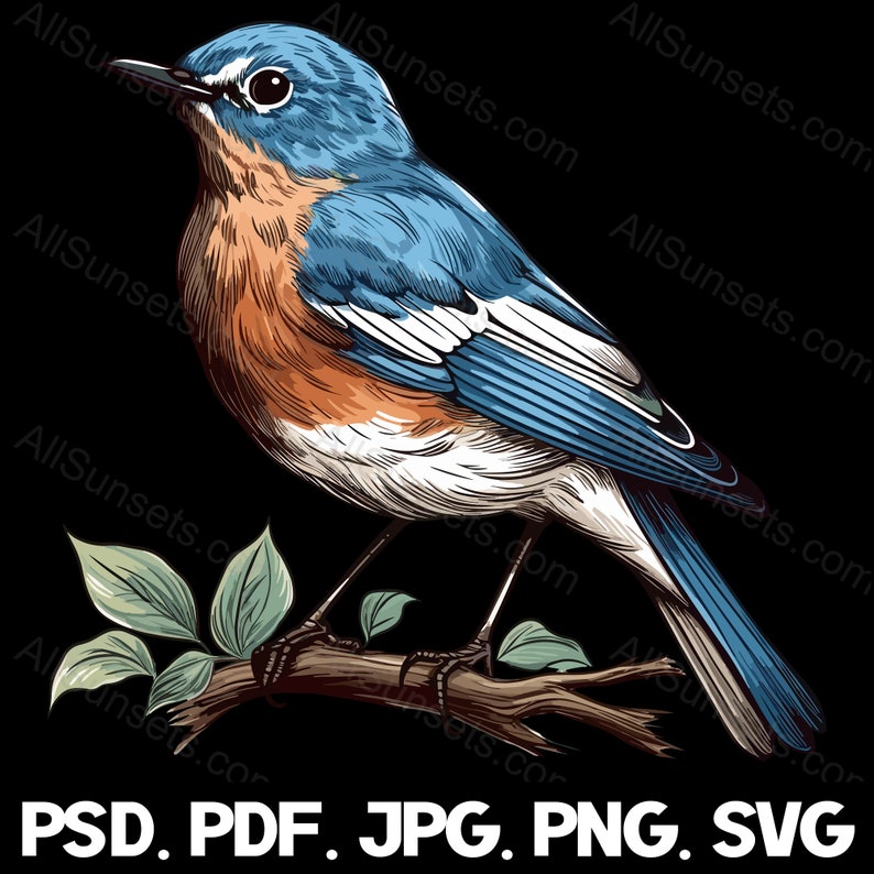 Mountain Bluebird Clipart Svg Png Psd Pdf Jpg File Types Idaho Nevada ...