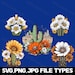 Arizona State Flower Pretty Saguaro Cactus Blossom Graphics Bundle ...