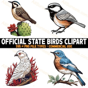 Official State Birds Clipart Bundle SVG and PNG Files Commercial Use ...